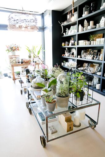 Decor – Madam Botany